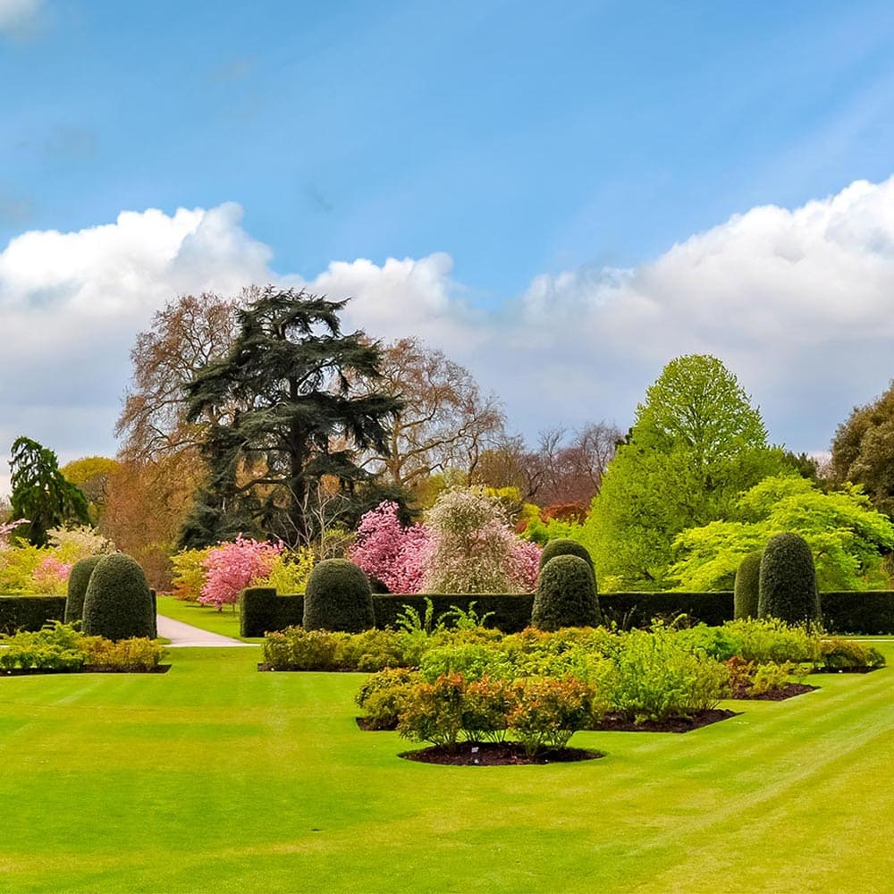 Borough With the Most Green Spaces in London - Share to Buy